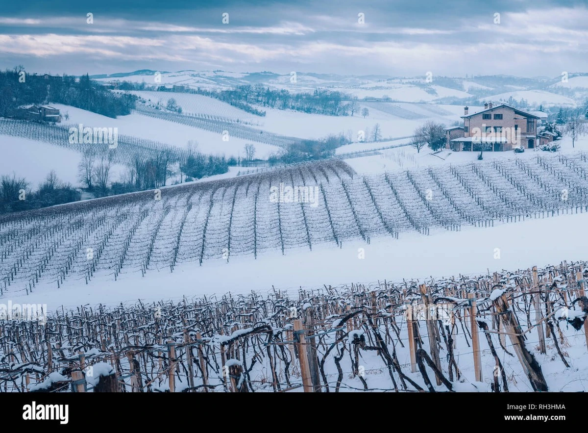El Ártico italiano: por qué la llanura del Po se congela en invierno ...